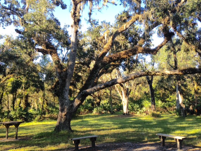 Hike #23: Hal Scott Preserve | Wandering Florida