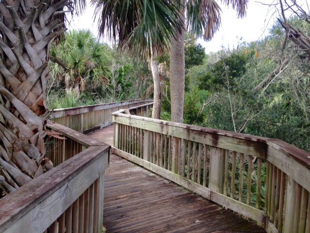 Hike #32: Lighthouse Point Park, Ponce Inlet | Wandering Florida