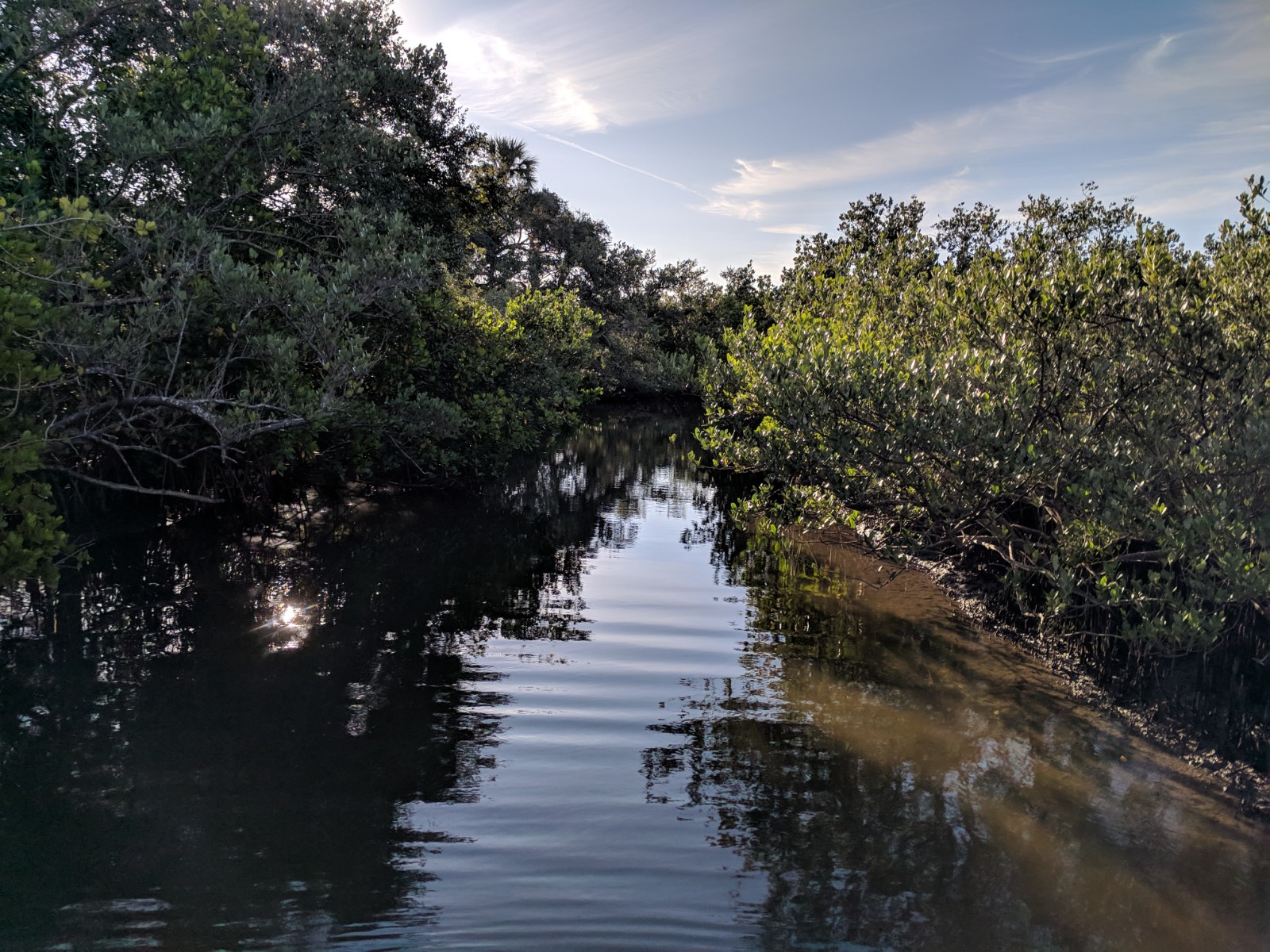 Hike #36: Ponce Preserve, Ponce Inlet | Wandering Florida