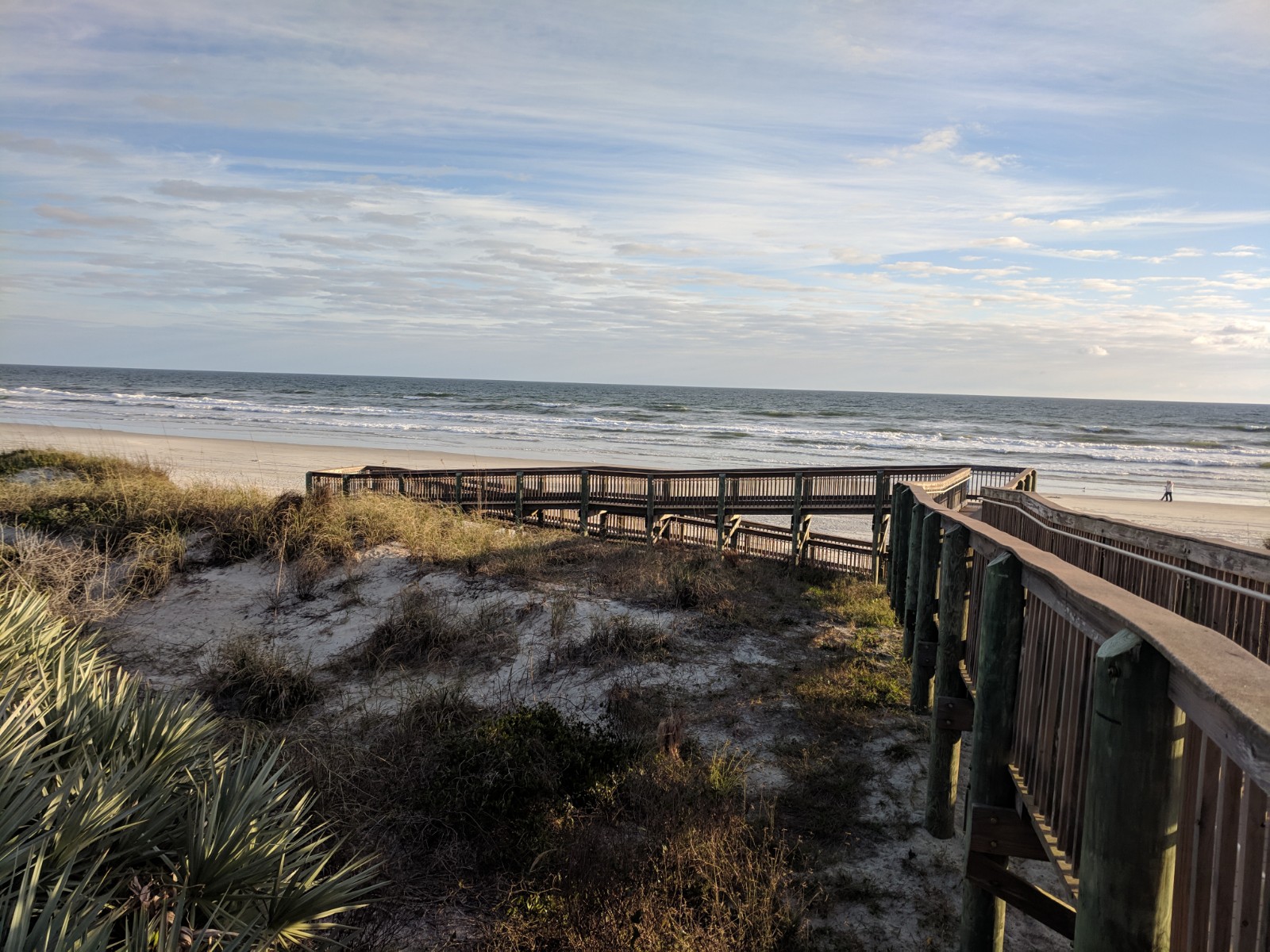 Hike #36: Ponce Preserve, Ponce Inlet | Wandering Florida