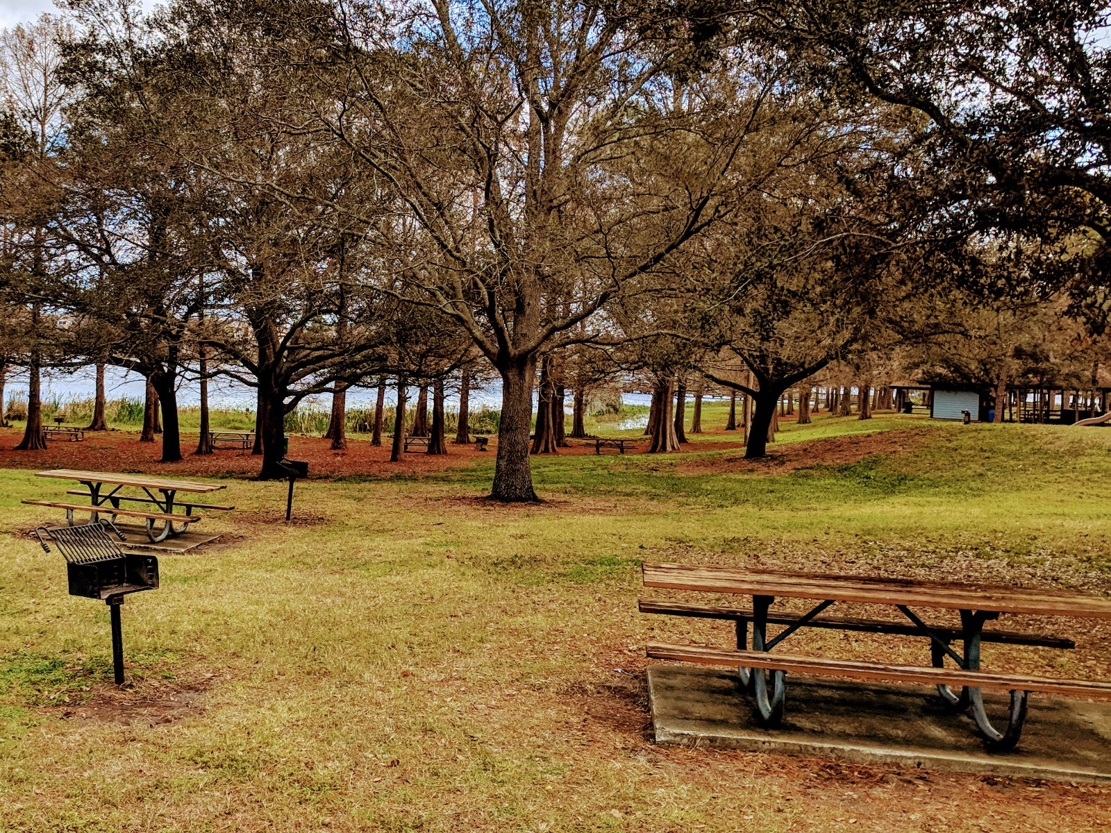 Hike #37: Bill Frederick Park at Turkey Lake | Wandering Florida