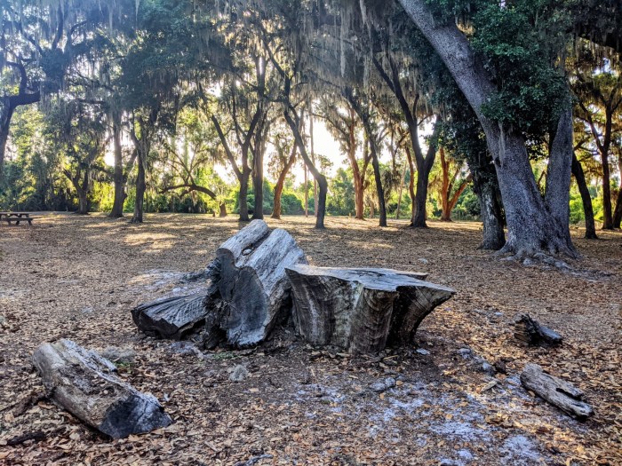 Exploring Tucker Ranch | Wandering Florida