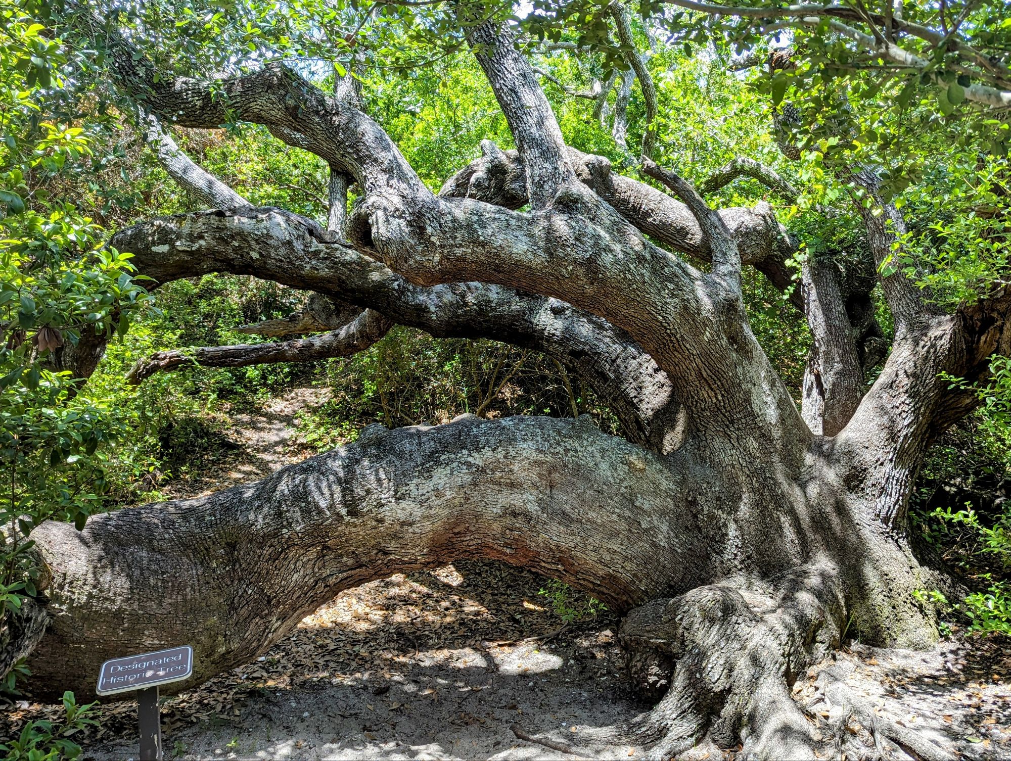 Ponce Preserve | Wandering Florida